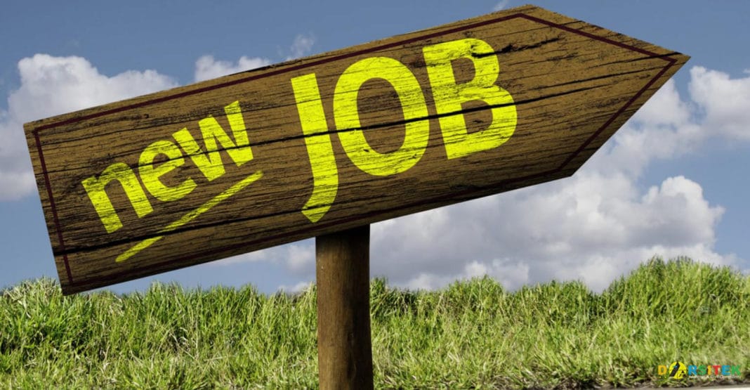 5 Critical Steps to Locating a Fresh Job Fast - Asdar Id