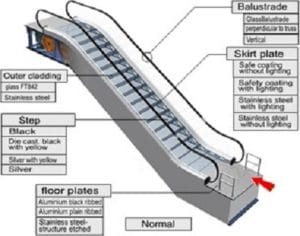 Sistem Transportasi Dalam Gedung Bertingkat - Asdar Id