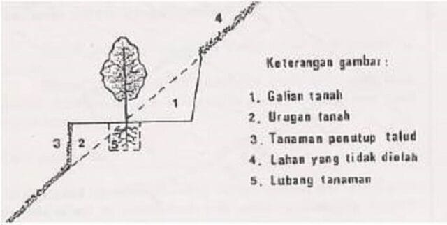 Terasering: Pengertian, Klasifikasi, Manfaat, Fungsi & Jenisnya - Asdar Id