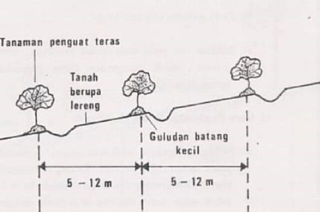 Terasering: Pengertian, Klasifikasi, Manfaat, Fungsi & Jenisnya - Asdar Id